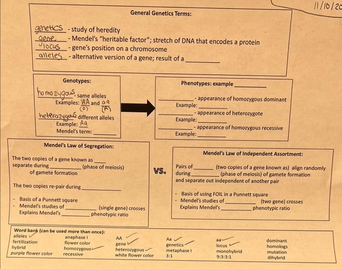 Solved General Genetics Terms: genetics - study of heredity | Chegg.com
