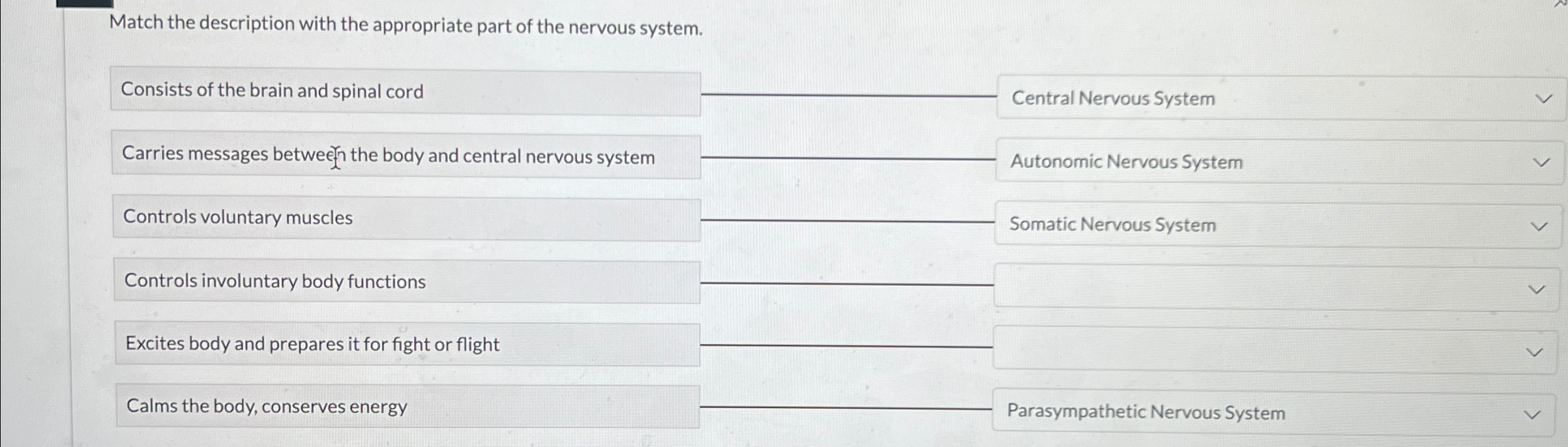 Solved Match the description with the appropriate part of | Chegg.com