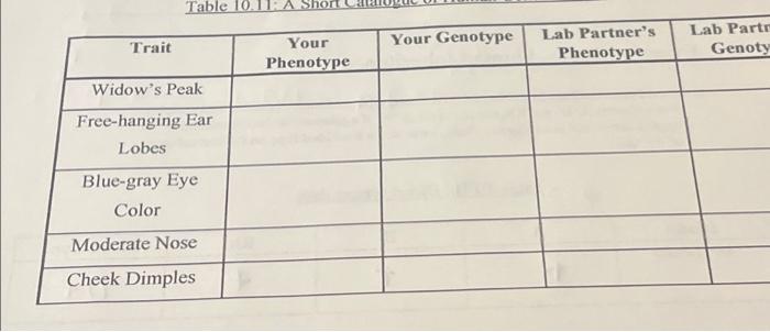Solved Trait Table 10.11: Widow's Peak Free-hanging Ear | Chegg.com