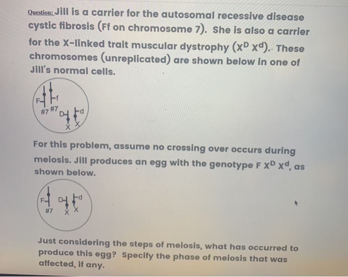 Solved Question: Jill is a carrier for the autosomal | Chegg.com