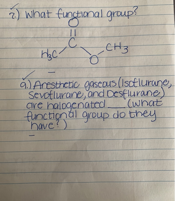 Solved 2) What functional group] II С. h3C/ осна z a.) | Chegg.com