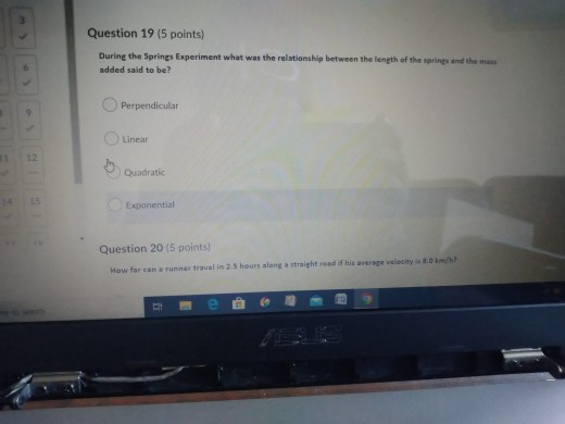 Solved Question 19 (5 points) During the Springs Experiment | Chegg.com