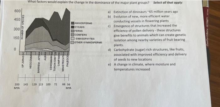 Solved 11) Based on knowledge gained in class and the | Chegg.com