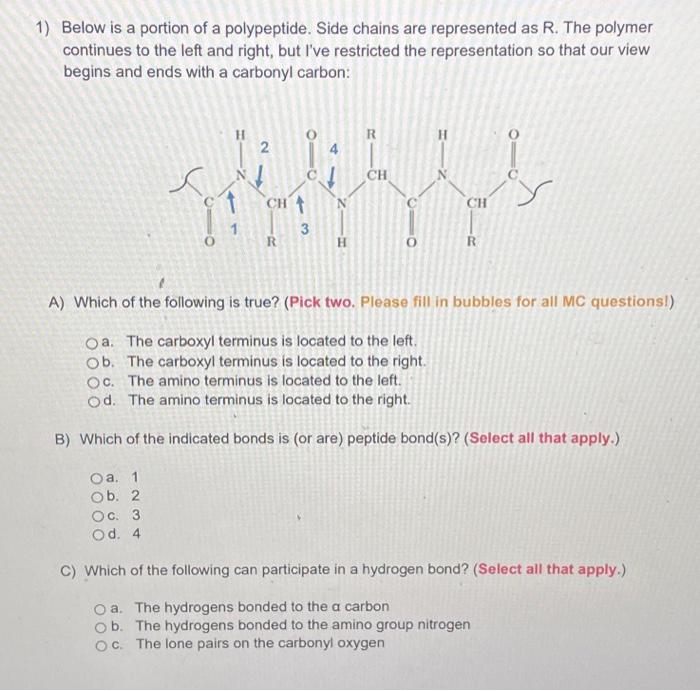 Solved 1) Below is a portion of a polypeptide. Side chains | Chegg.com