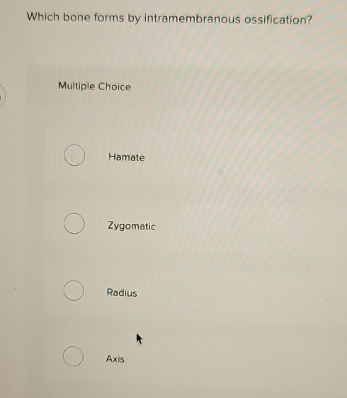 Solved Which bone forms by intramembranous | Chegg.com