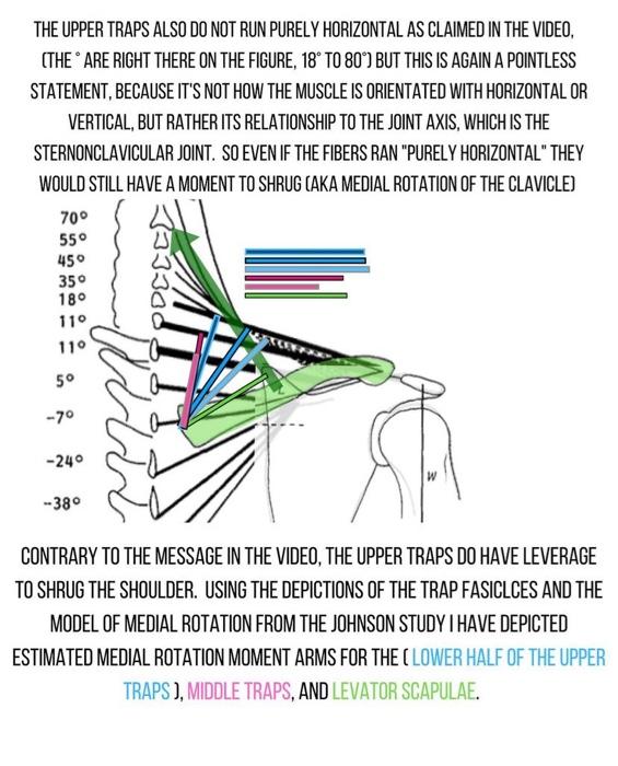 Solved Is this correct? Could you please elaborate about the | Chegg.com