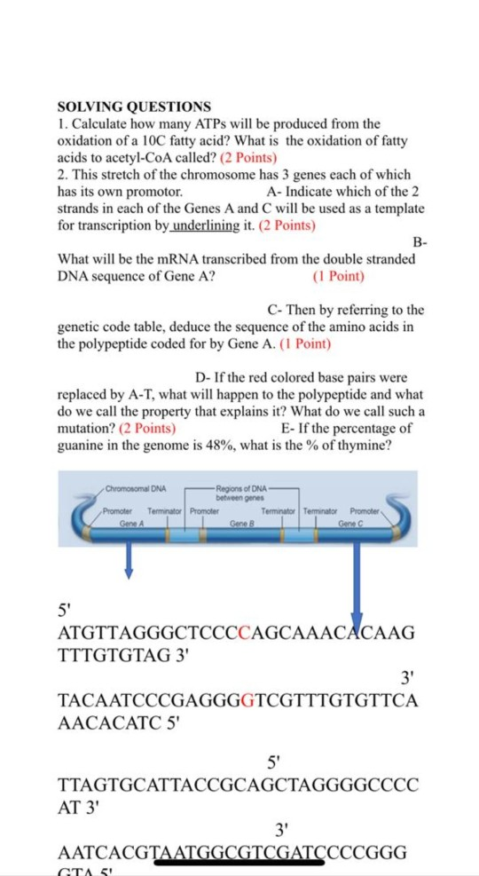 Solved SOLVING QUESTIONS 1. Calculate how many ATPs will be | Chegg.com