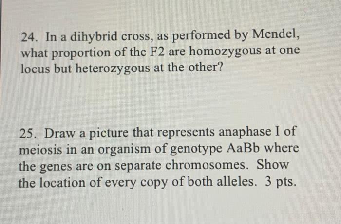 Solved 24. In a dihybrid cross, as performed by Mendel, what | Chegg.com