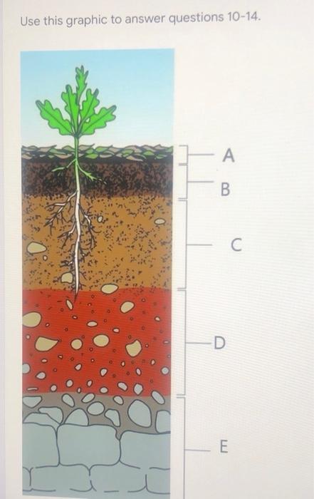 Solved Use this graphic to answer questions 10-14. - A B C С | Chegg.com