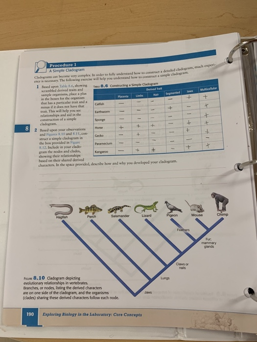 Solved + - Procedure 1 A Simple Cladogram ence is necessary. | Chegg.com