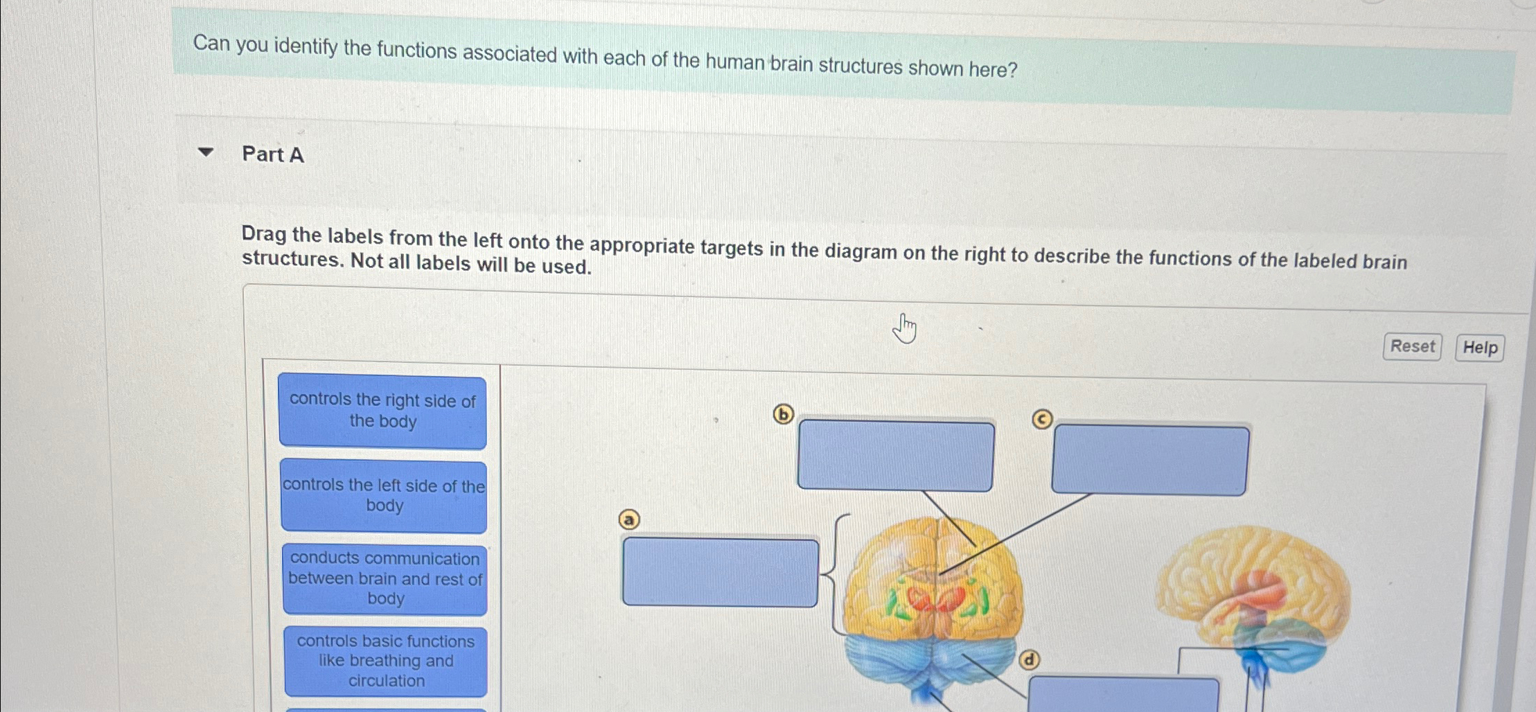 Solved Can you identify the functions associated with each | Chegg.com