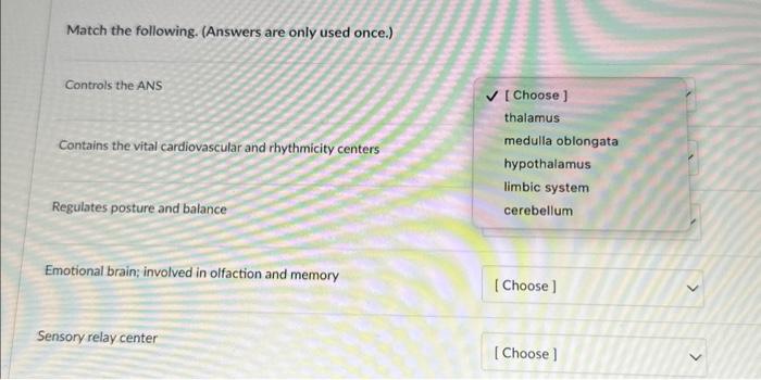 Solved Match the following. (Answers are used once or not at | Chegg.com