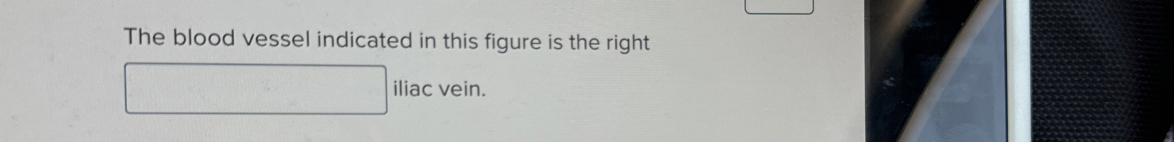 Solved The neck vein indicated in the illustration of the | Chegg.com