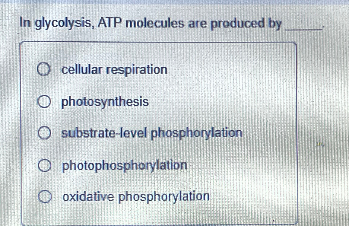Solved In glycolysis, ATP molecules are produced bycellular | Chegg.com