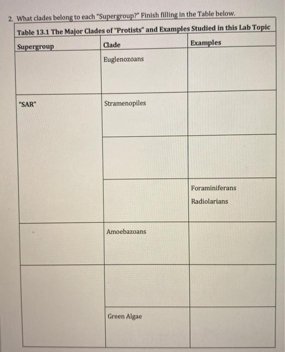 Solved 2. What clades belong to each "Supergroup?" Finish | Chegg.com