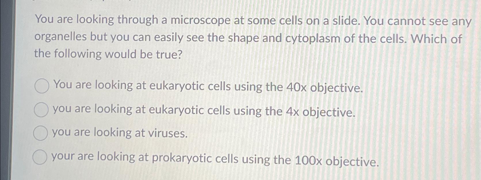Solved You are looking through a microscope at some cells on | Chegg.com