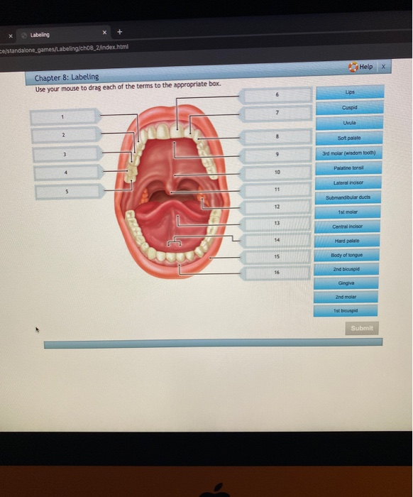 Solved x Labeling | Chegg.com