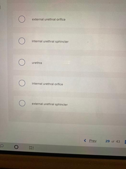 Solved Which structure is highlighted? 29 02:28:54 Multiple | Chegg.com