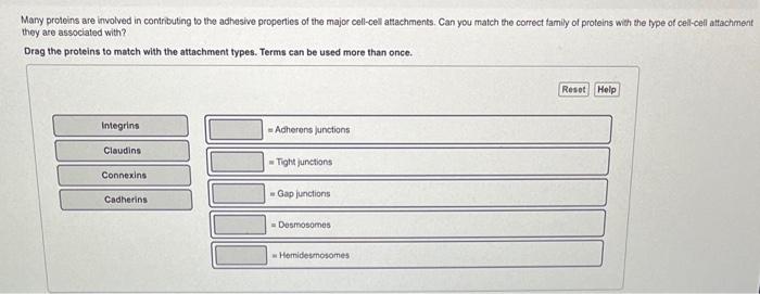Solved Many proteins are involved in contributing to tho | Chegg.com