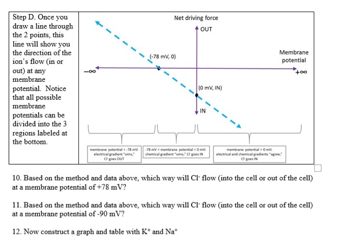 Solved Net driving force 4 OUT (-78 mV, 0) Membrane | Chegg.com