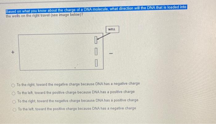 Solved Based on what you know about the charge of a DNA | Chegg.com