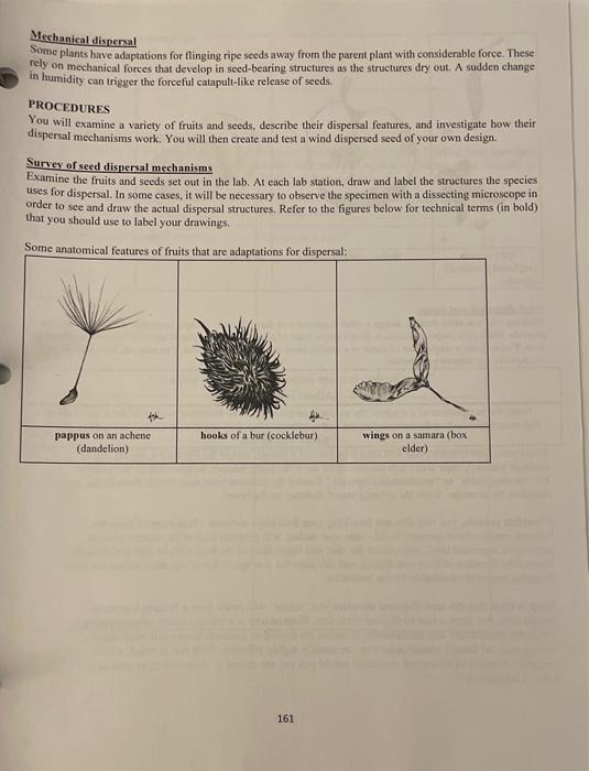 Solved Survey of seed dispersal mechanisms Refer to the | Chegg.com