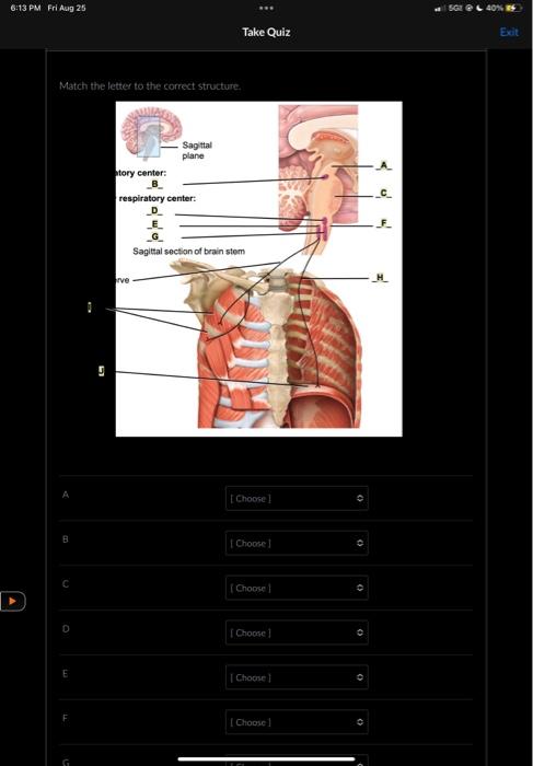 Solved can you please answer these questions for me | Chegg.com
