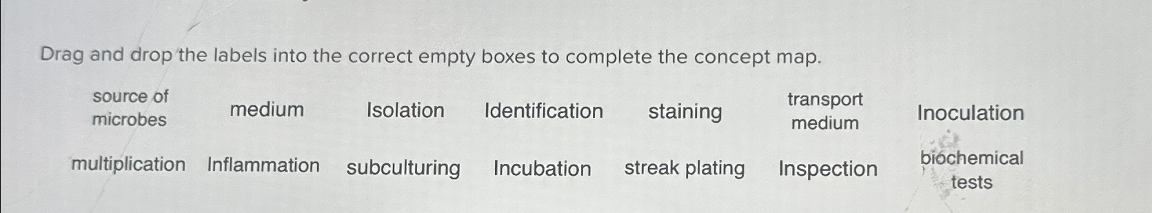Solved Drag and drop the labels into the correct empty boxes | Chegg.com