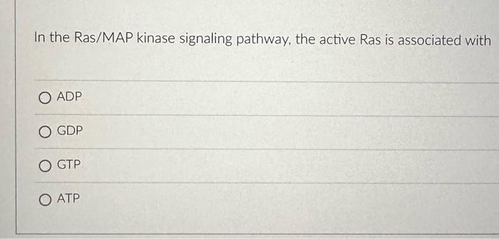 Solved In the Ras/MAP kinase signaling pathway, the active | Chegg.com