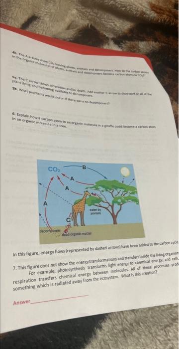 in an erganic molecule in a tree. In this figure, | Chegg.com