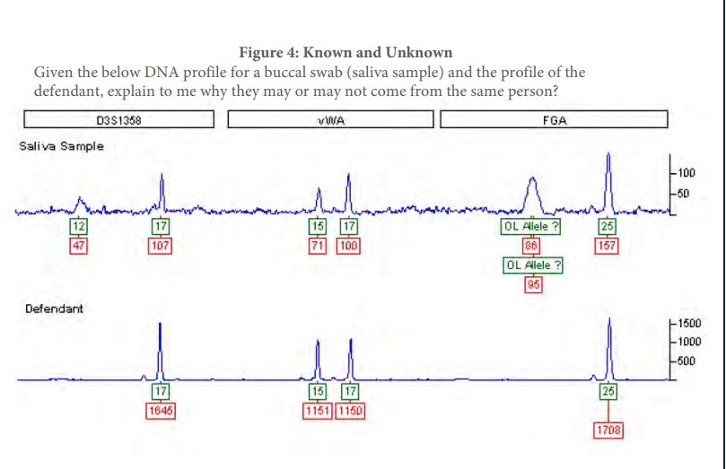 Solved Figure 4: Known and UnknownGiven the below DNA | Chegg.com