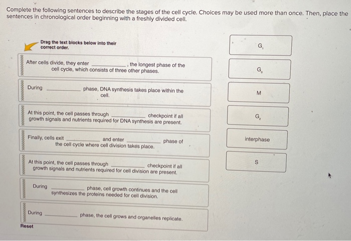 Solved Complete the following sentences to describe the | Chegg.com