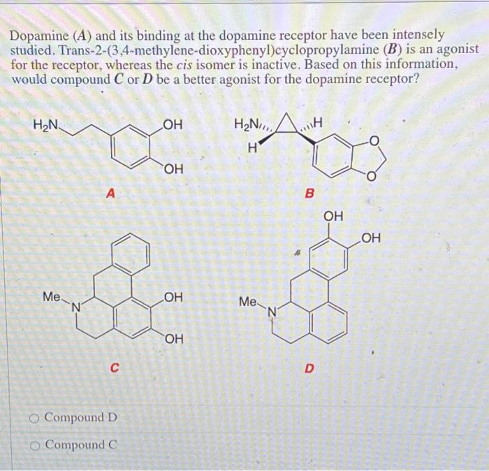 Solved Dopamine (A) and its binding at the dopamine receptor | Chegg.com