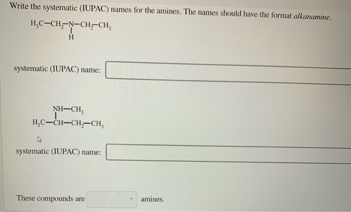 Solved Write the systematic (IUPAC) names for the amines. | Chegg.com