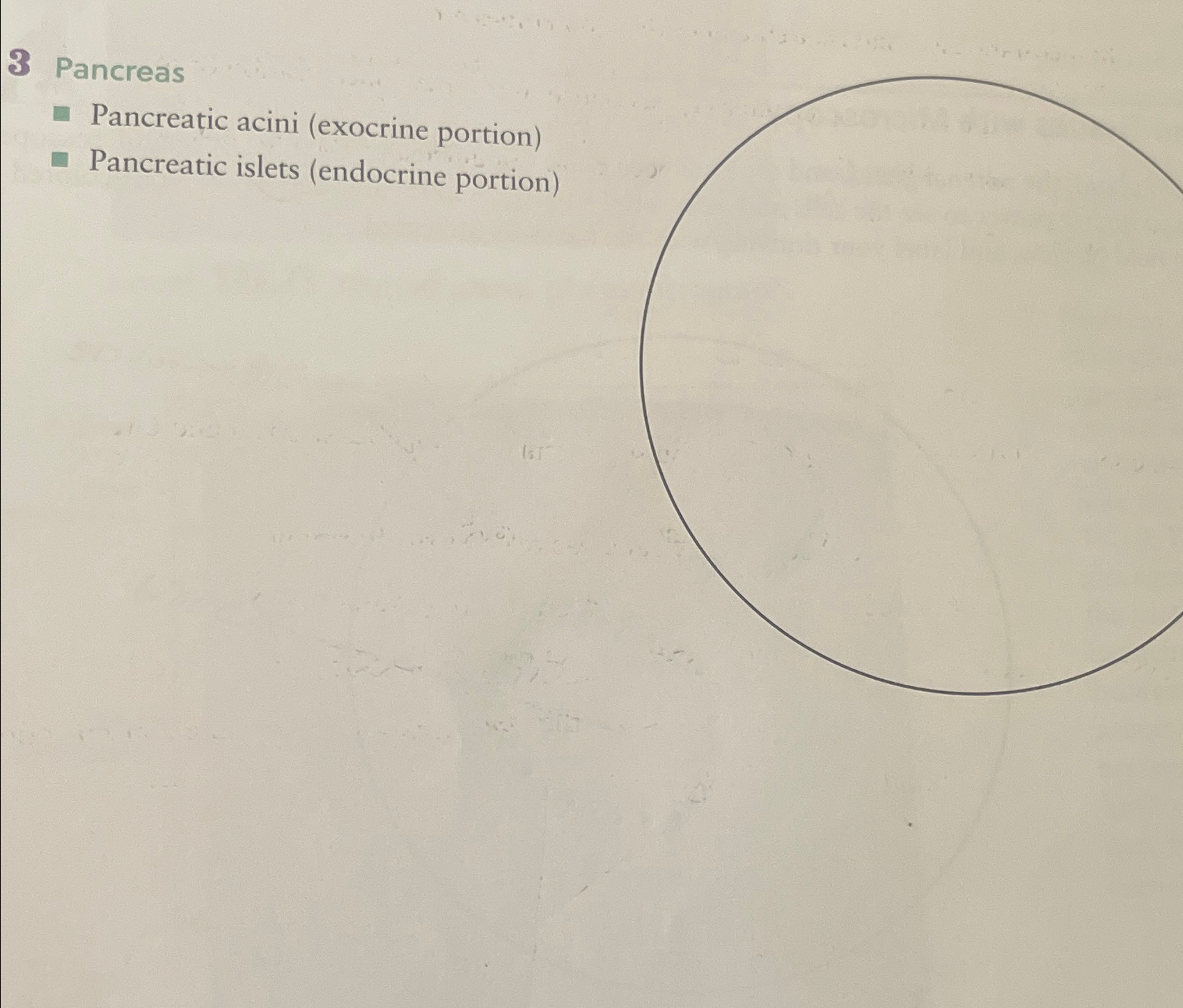 Solved 3 ﻿PancreasPancreatic acini (exocrine | Chegg.com
