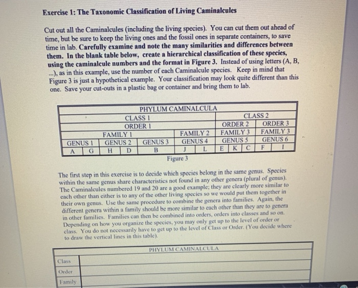 Solved Exercise 1: The Taxonomic Classification of Living | Chegg.com