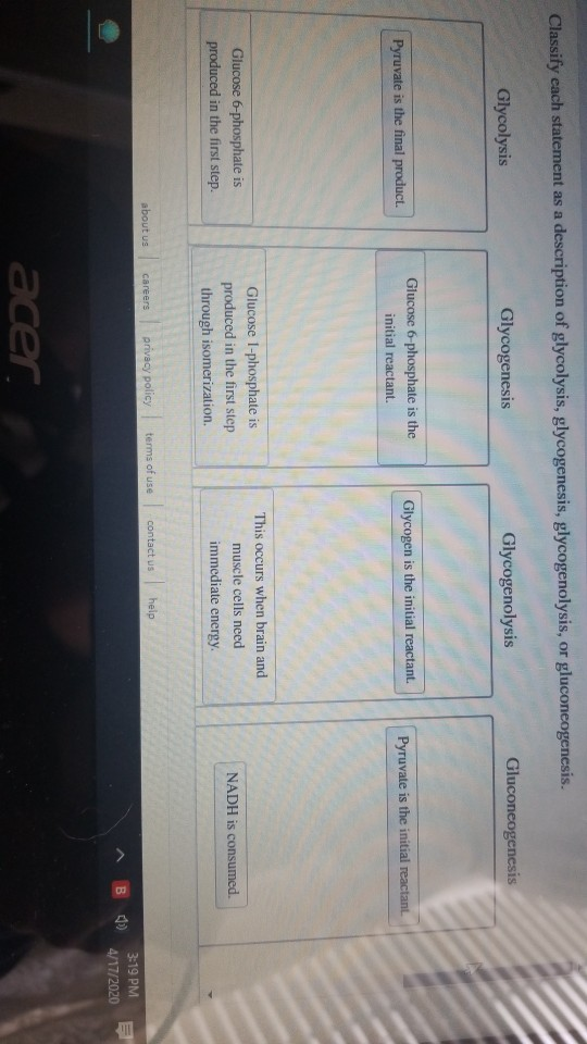 Solved Classify each statement as a description of | Chegg.com
