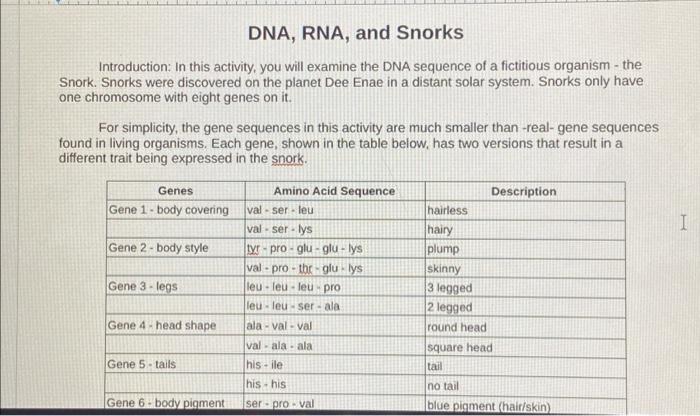 Solved DNA, RNA, and Snorks Introduction: In this activity, | Chegg.com