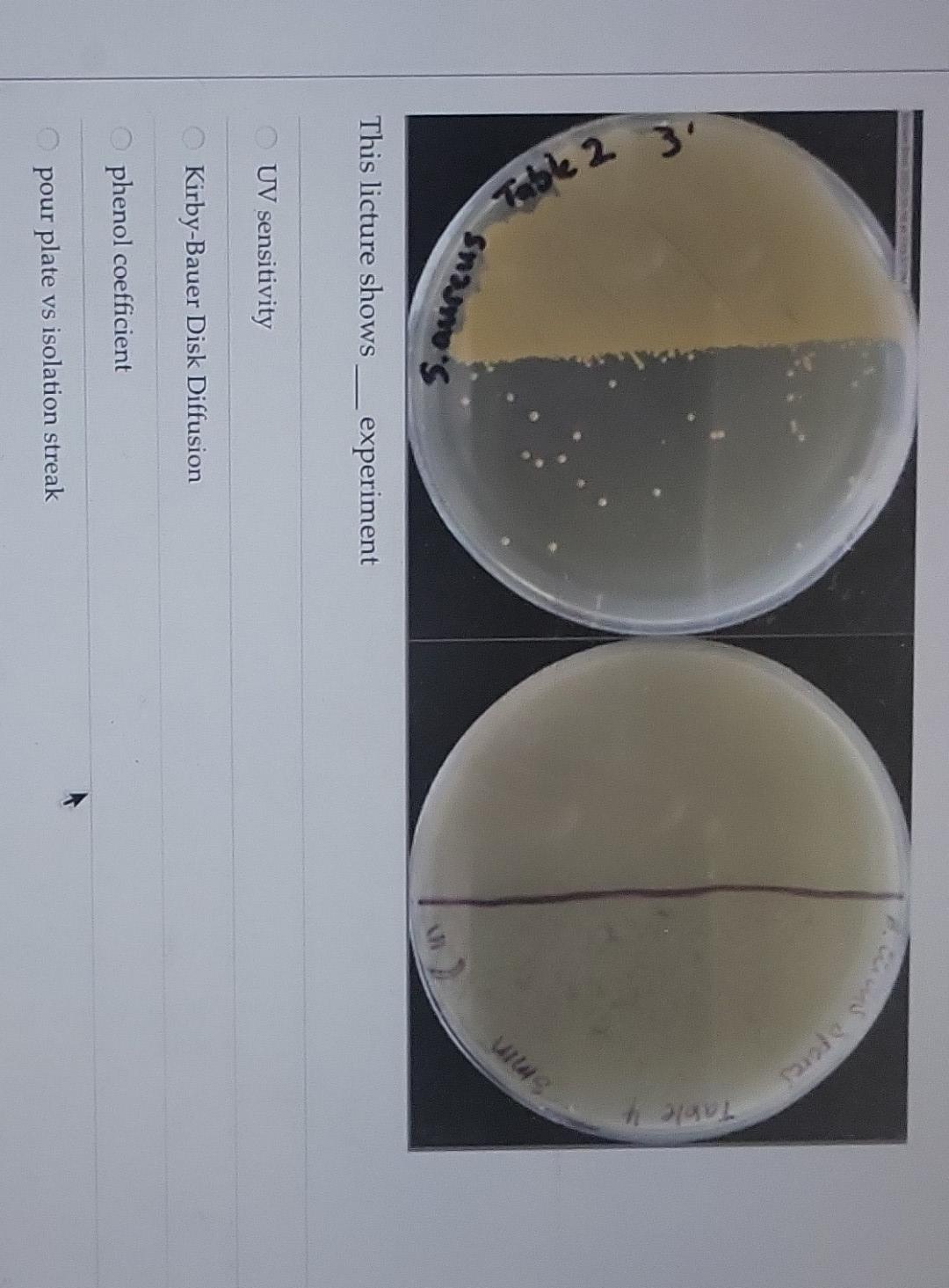 Solved This licture shows experiment UV sensitivity | Chegg.com
