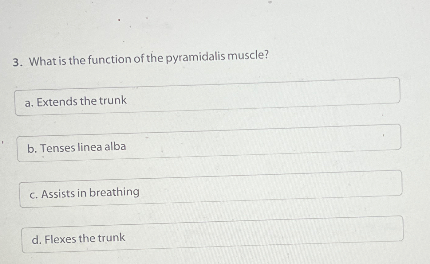 Solved What is the function of the pyramidalis muscle?a. | Chegg.com