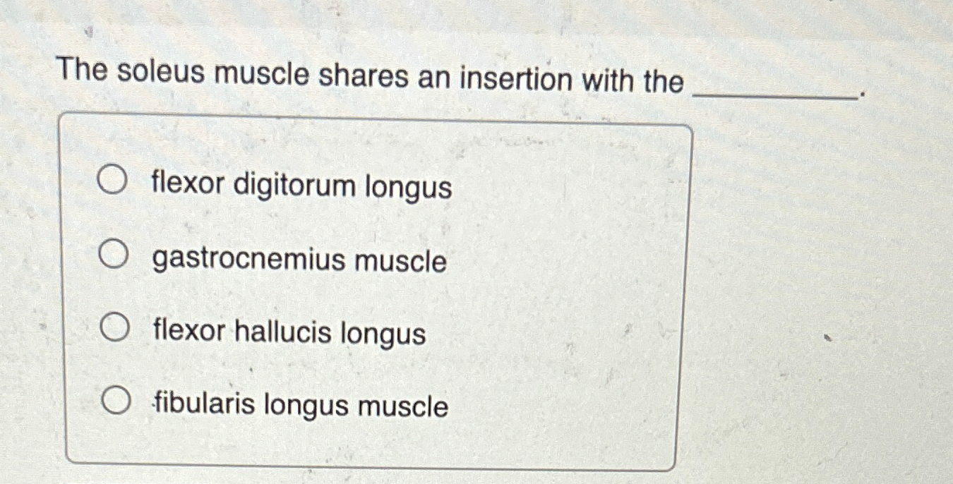 Solved The soleus muscle shares an insertion with theflexor | Chegg.com