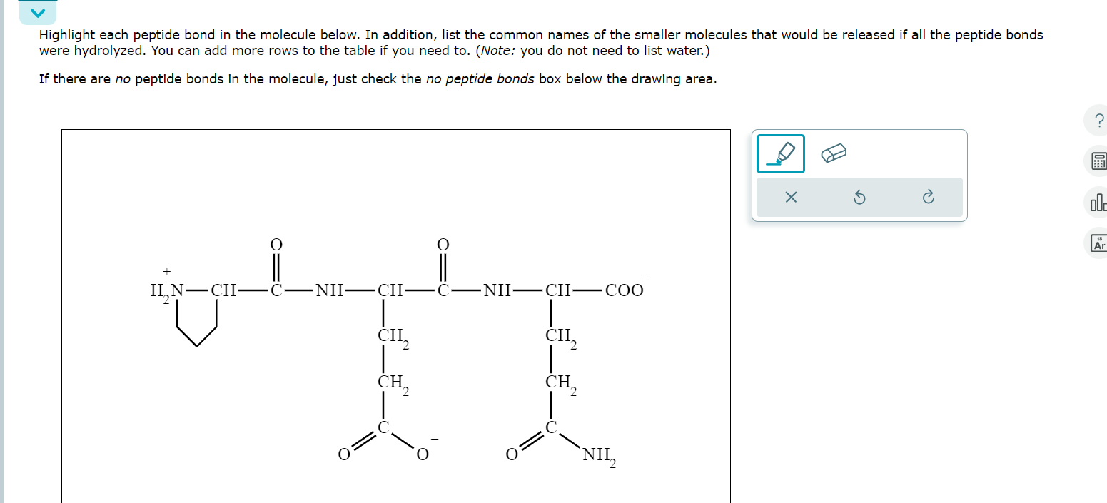 Solved Highlight each peptide bond in the molecule below. In | Chegg.com
