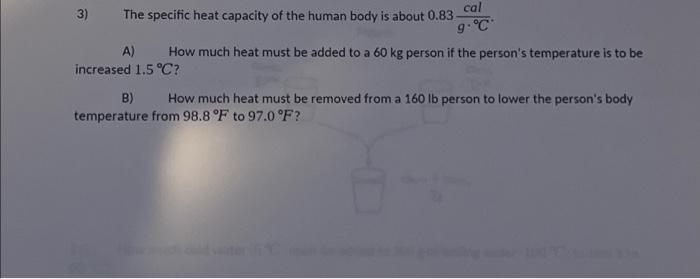 Solved chapter 13 3) The specific heat capacity of the human | Chegg.com