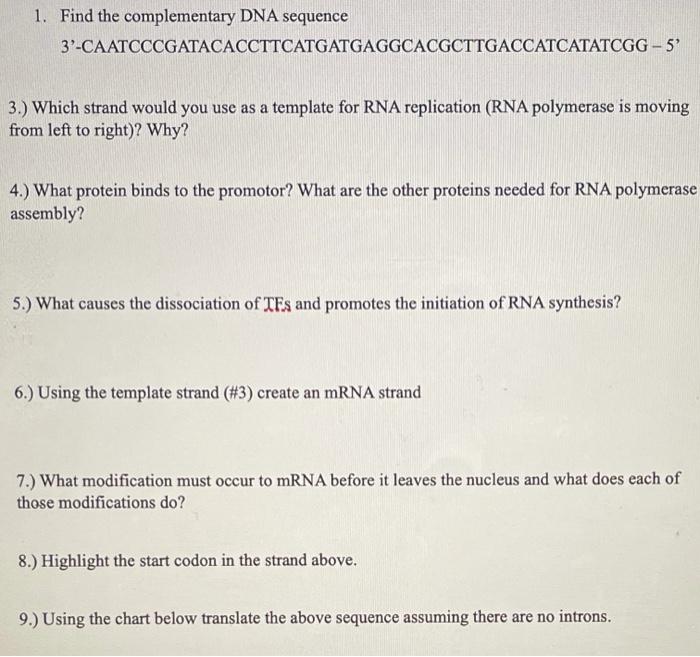 Solved G First Base in Codon Second Base in Codon А G U с | Chegg.com
