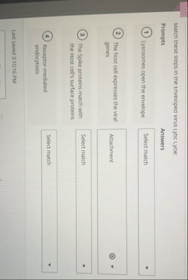Solved Match these steps in the tnveloped virus lytic | Chegg.com