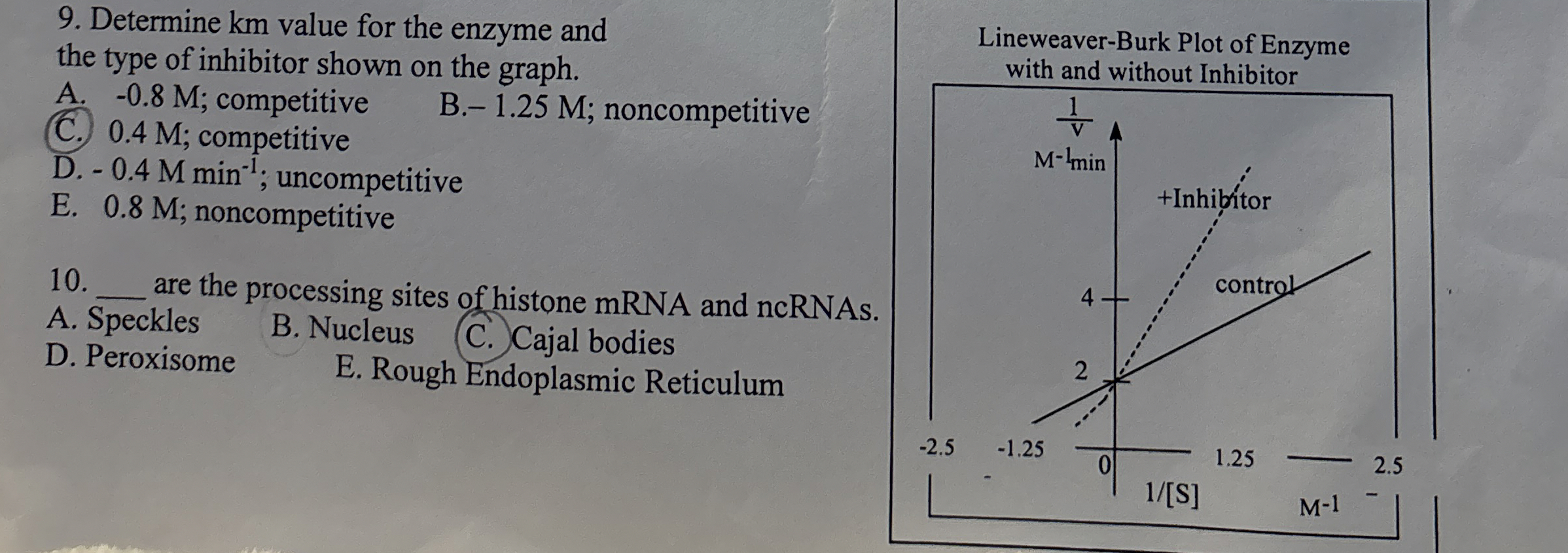 Solved Determine km value for the enzyme and the type of | Chegg.com