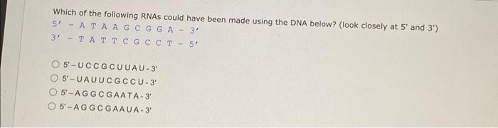 Solved Which of the following RNAs could have been made | Chegg.com