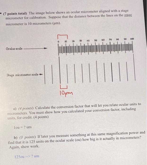 Solved (7 points total) The image below shows an ocular | Chegg.com