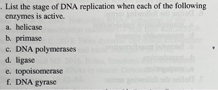 Solved List the stage of DNA replication when each of the | Chegg.com