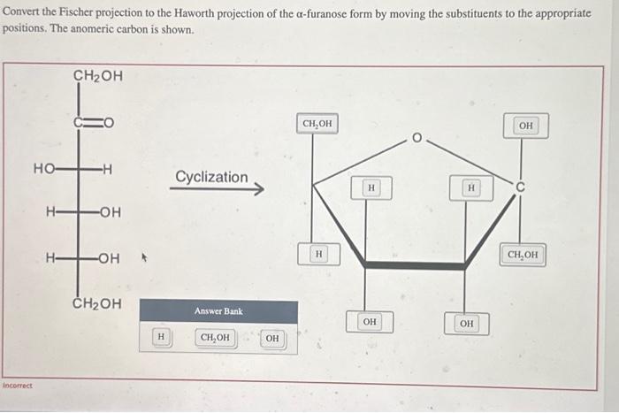 Solved Convert the Fischer projection to the Haworth | Chegg.com
